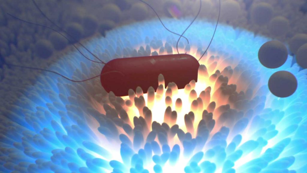 Biomedical Animation - Microverse Studios