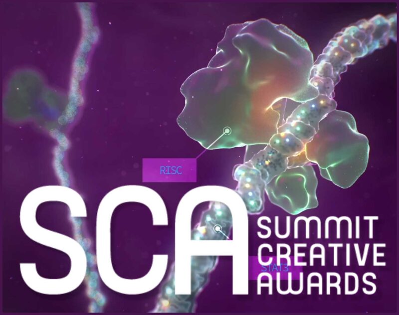 Microverse Studios Wins Summit - Microverse Studios