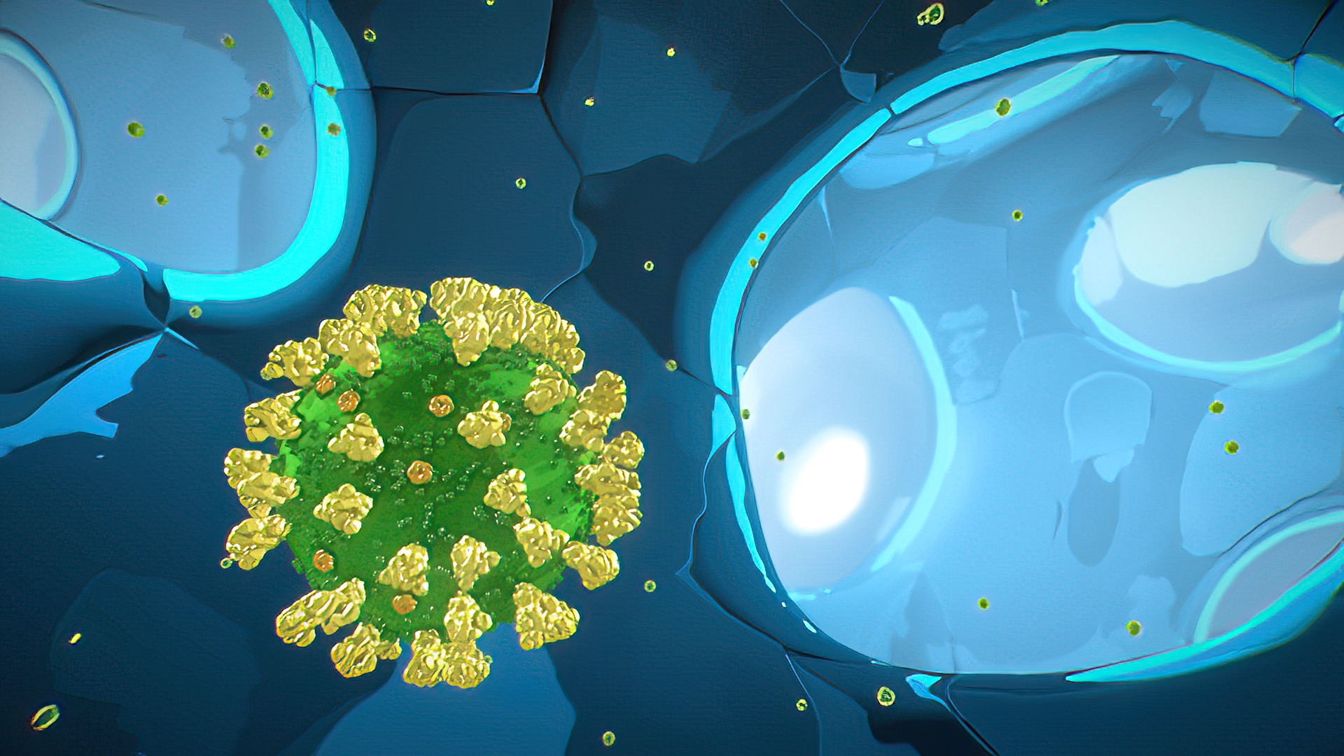 Medical Motion Graphics | Microverse Studios