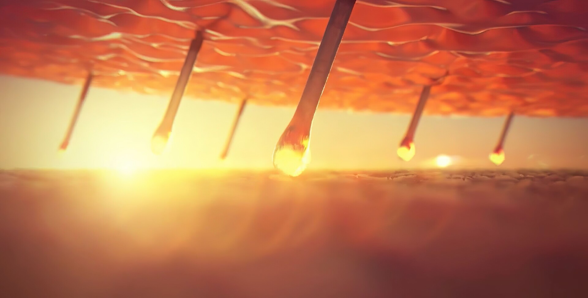 Microverse Studios Wins Three Grand Awards at the 2023 NYX Video Awards ...