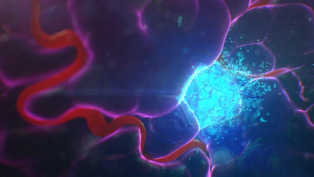 Production Process - Microverse Studios