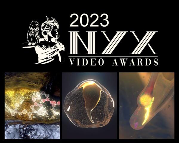 Microverse Studios Wins Three Grand Awards at the 2023 NYX Video Awards ...