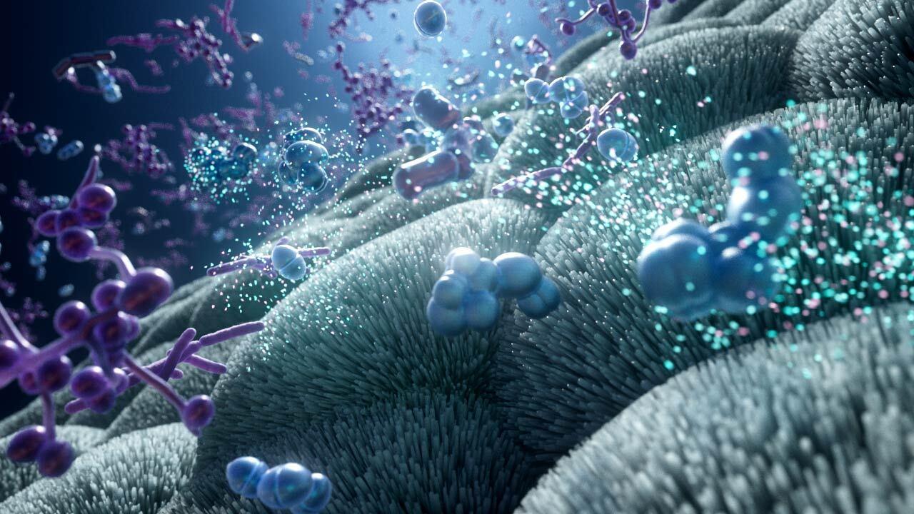 Medical Animation Production—What to Expect From Start to Finish ...